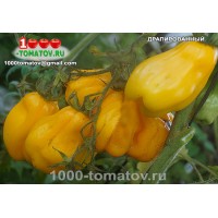 1000 томатов большая коллекция лучших редких сортов томатов